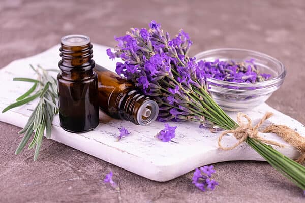 Brown Recluse Spiders in Texas: Where They Live, What They Eat, How to ...