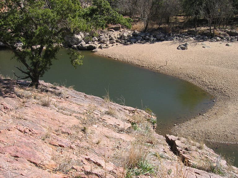 The Most Snake-Inhabited Lakes in Texas - A-Z Animals