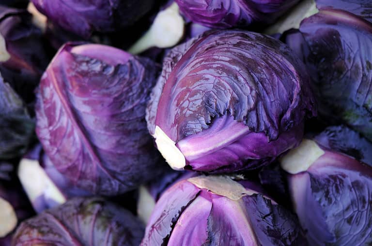 Purple Cabbage vs. Mediterranean Cabbage: What's the Difference? - A-Z ...