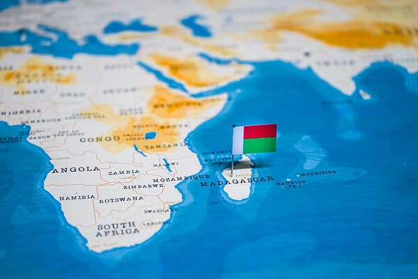 The Largest Lemur Ever Was the Size of a Silverback Gorilla - A-Z ...