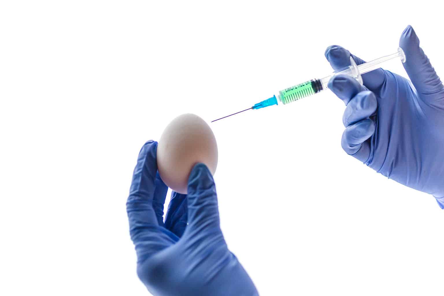 Transgenic Animals: 9 Animals That Have Been Genetically Modified - A-Z ...