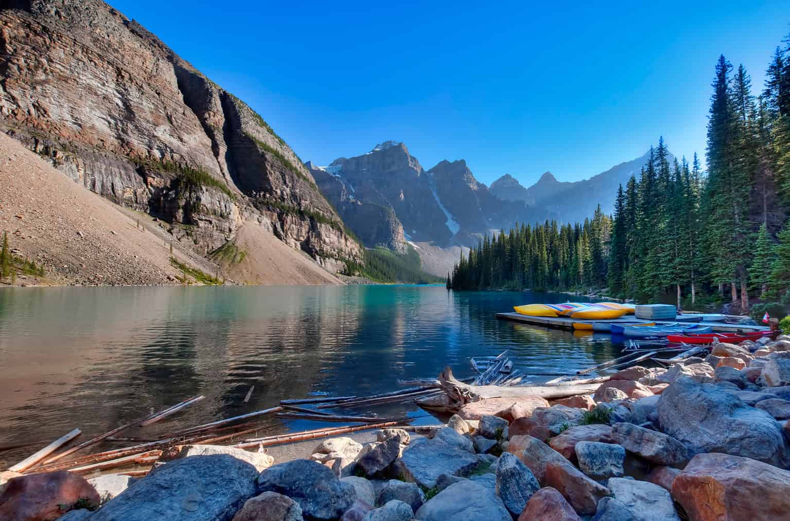 Wildlife in Canada - Types of Canadian Animals - A-Z Animals