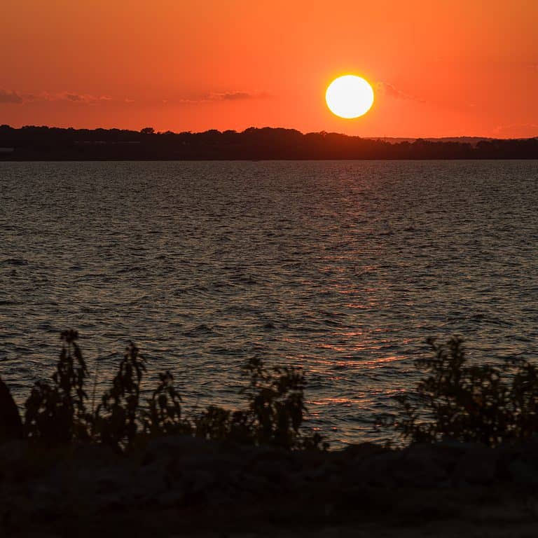 Discover the Official State Fish of Oklahoma (And Where You Can Catch ...