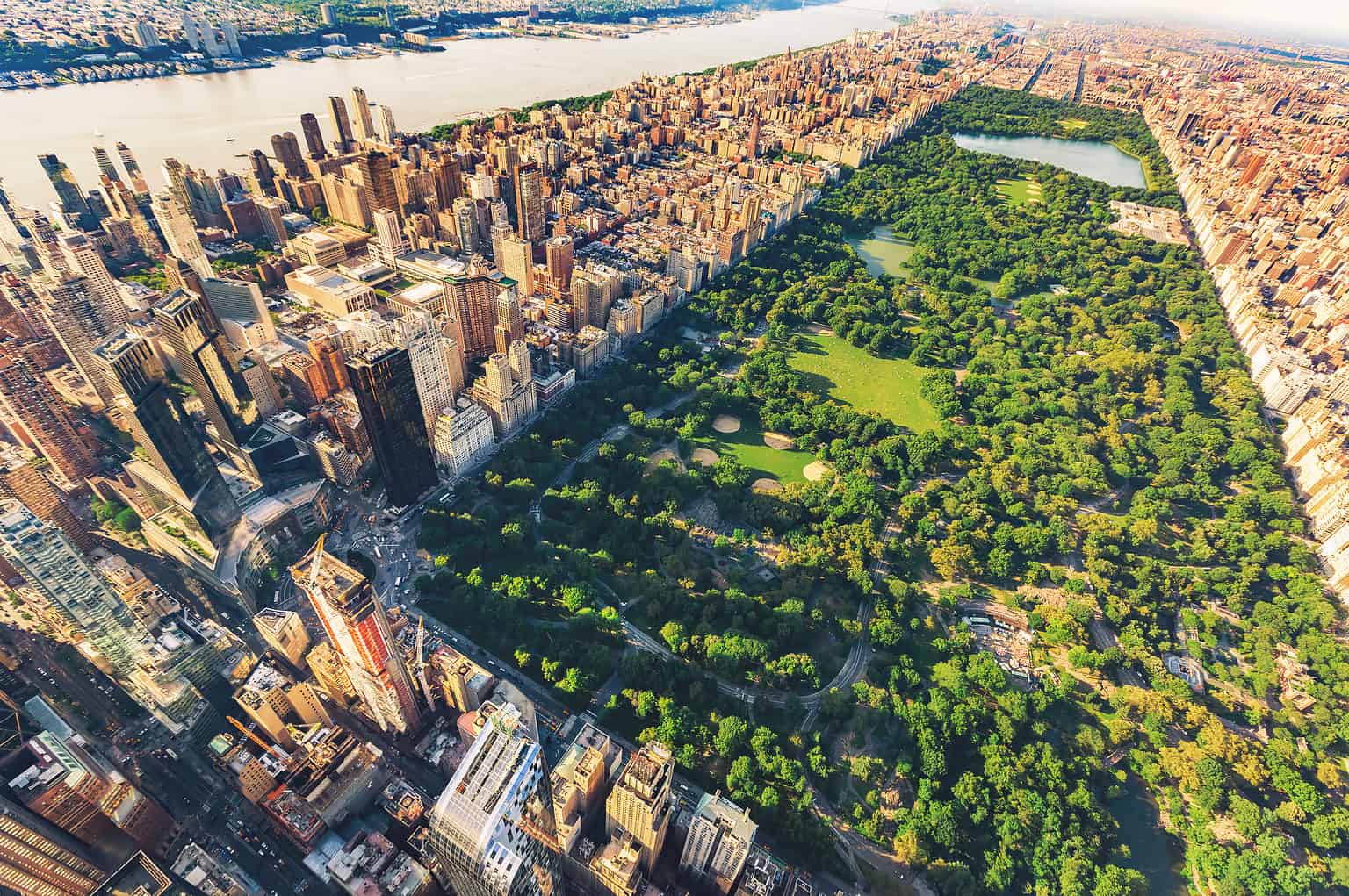 Wildlife in New York - Types of New Yorker Animals - A-Z Animals