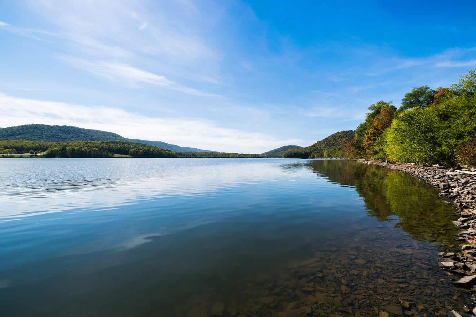 9 Pennsylvania Cryptids: Appearance, Behavior, and Location