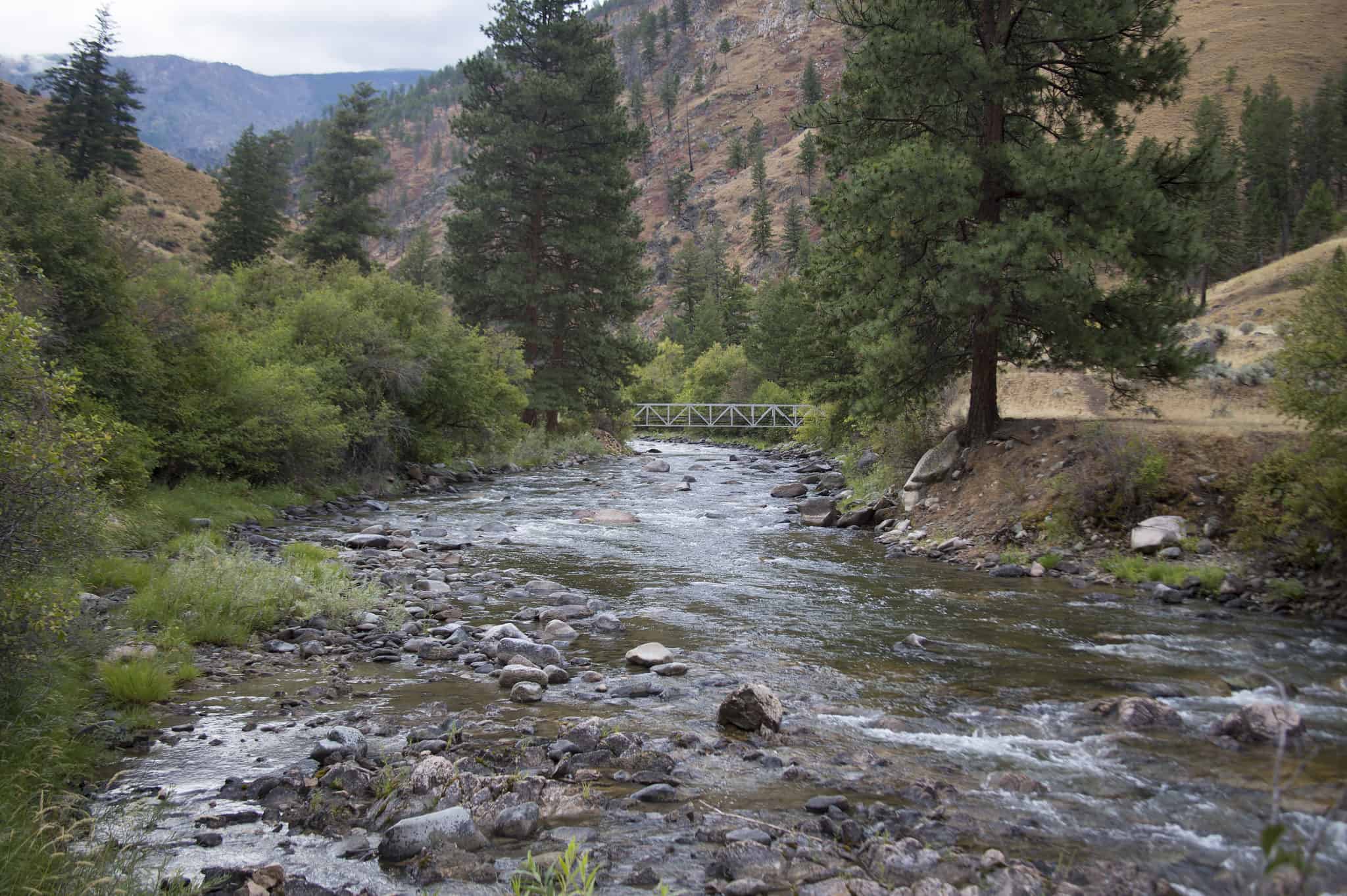 What's in the Salmon River and Is It Safe to Swim In? - A-Z Animals