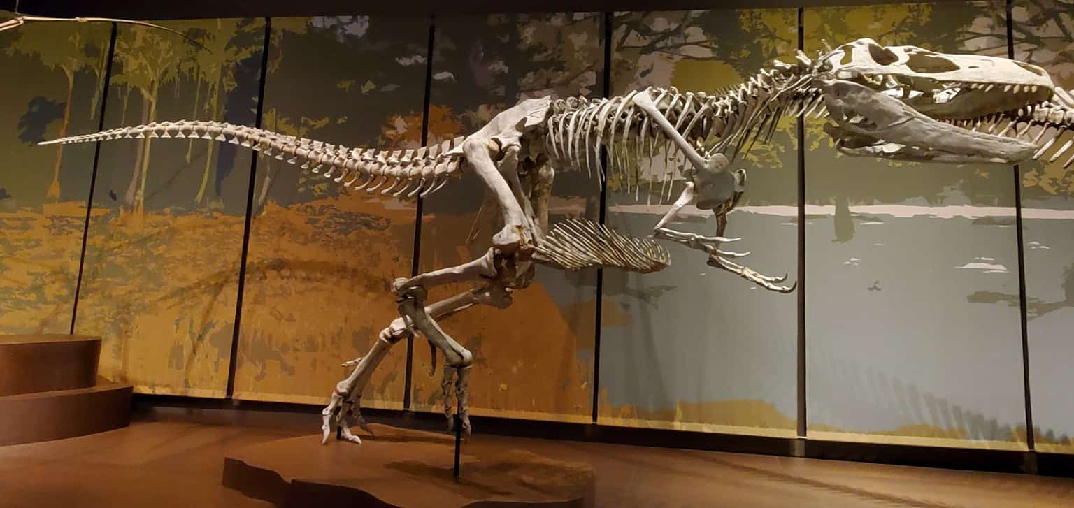 5 Dinosaurs that Lived in Alabama (And Where to See Fossils Today) - A ...