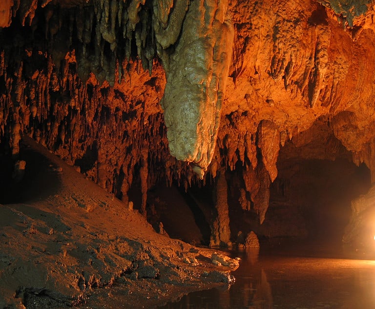 The 10 Oldest Cave Paintings (With Pictures) - A-Z Animals