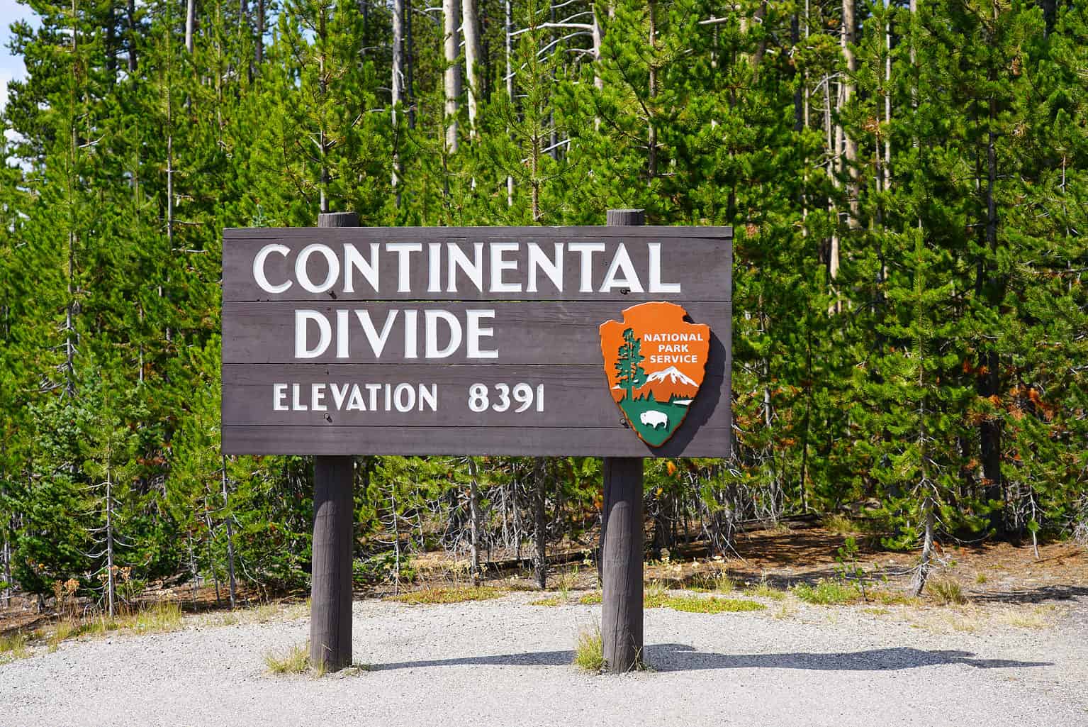 Discover “Lost Dakota,” the Grizzly-Bear-Infested Territory the U.S ...
