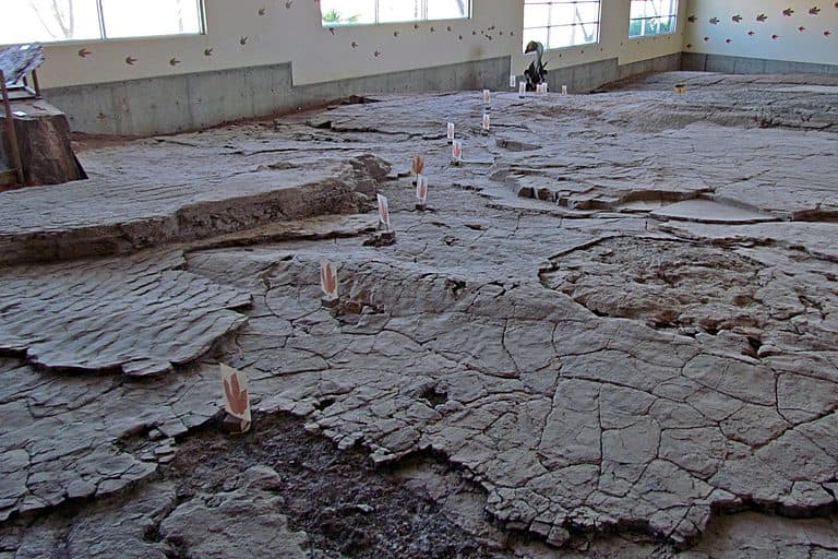 Journey Through Time: Utah's Most Remarkable Dinosaur Discoveries - A-Z ...