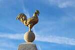 The Gallic Rooster: Discover the National Bird of France - A-Z Animals