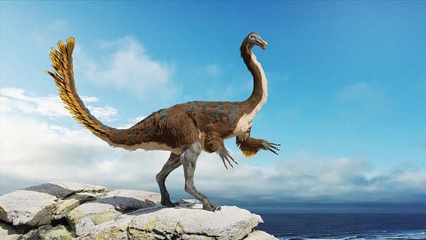 Discover the Top 8 Fastest Dinosaurs Ever to Walk the Earth - A-Z Animals