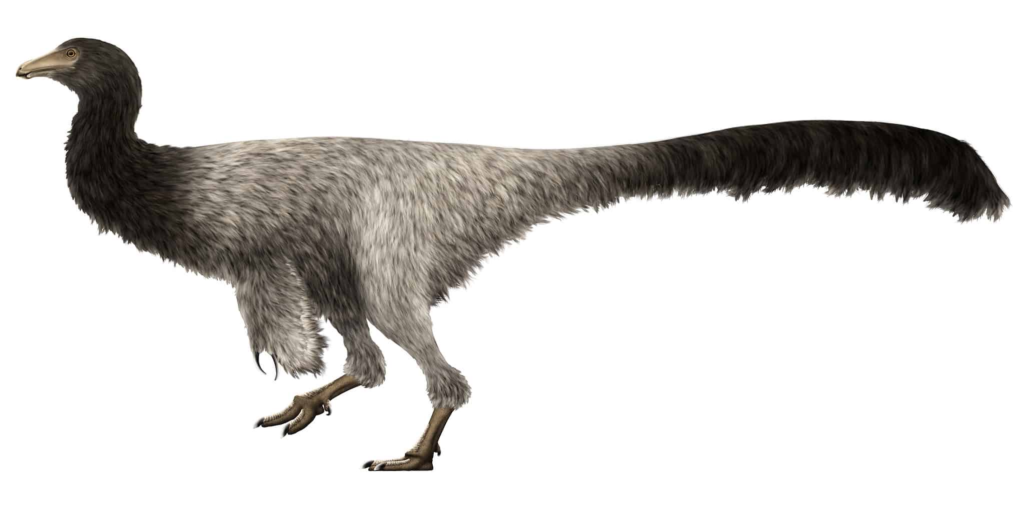 Discover the 16 Dinosaurs That Start With G - A-Z Animals