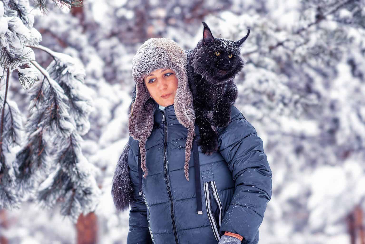 Discover the 5 Official State Animals of Maine - A-Z Animals