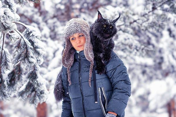 Khám phá 5 động vật chính thức của tiểu bang Maine ⋆ Cá cảnh mini