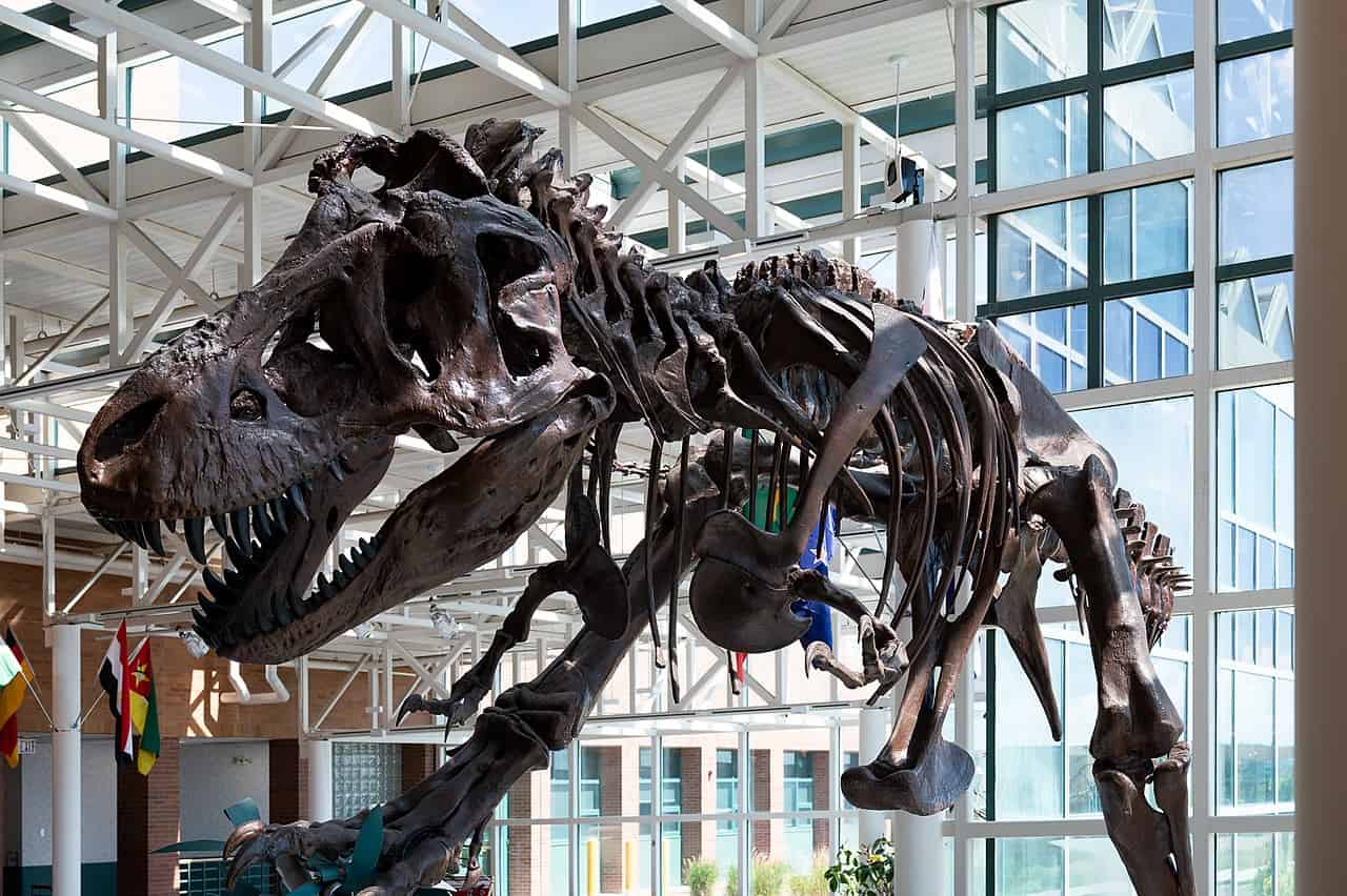 Discover Wyoming's Dinosaur Legacy: 10 Prehistoric Giants and Where to ...