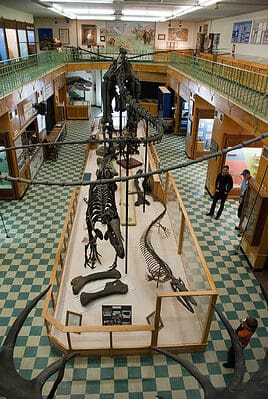 Discover Wyoming's Dinosaur Legacy: 10 Prehistoric Giants and Where to ...