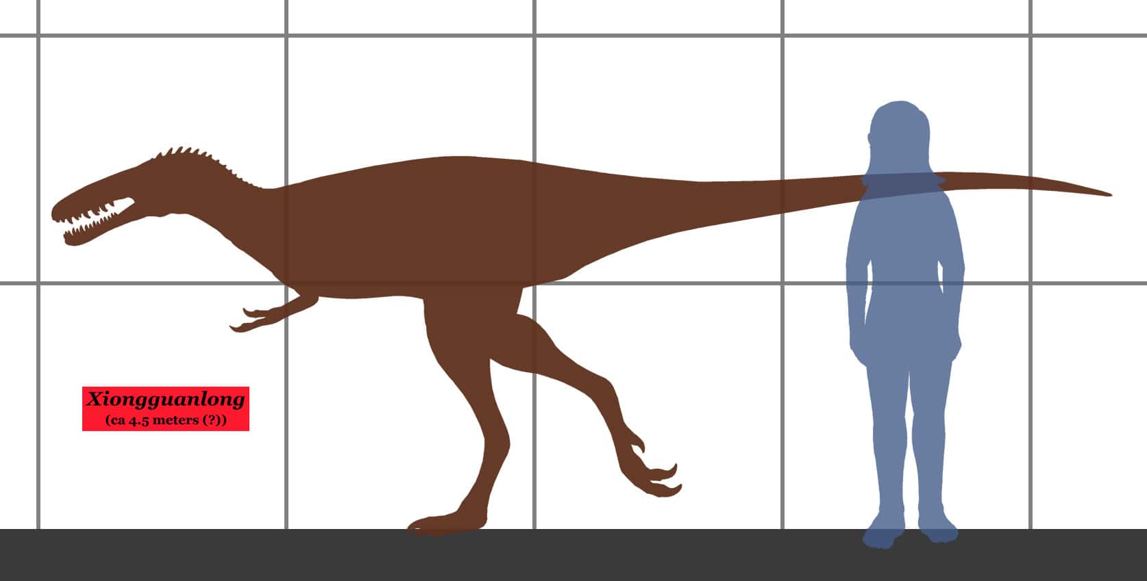 Xiongguanlong Animal Facts - Xiongguanlong baimoensis - A-Z Animals
