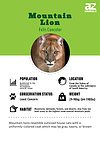 Mountain Lion Animal Facts - Puma concolor - A-Z Animals