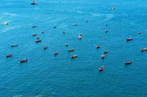 Discover 7 Spectacular Fish Found in Chile - A-Z Animals