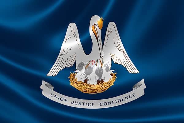 Discover the Official State Bird of Louisiana - A-Z Animals