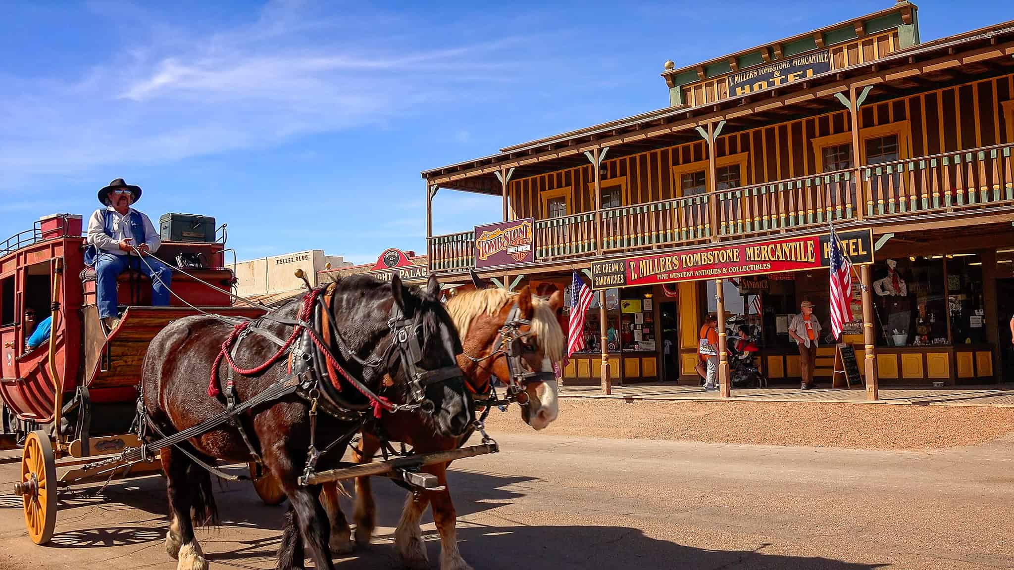 The 240+ Best Western and Cowboy Dog Names - A-Z Animals