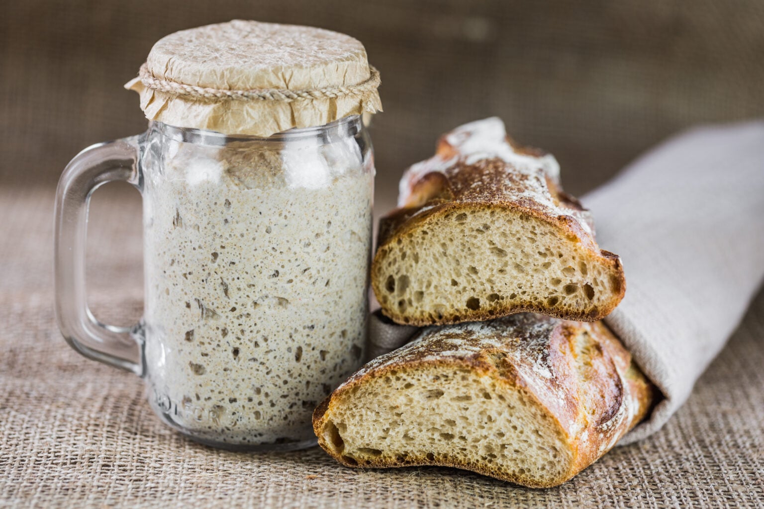 Can Cats Eat Bread? 4 Things to Know Before Feeding - A-Z Animals