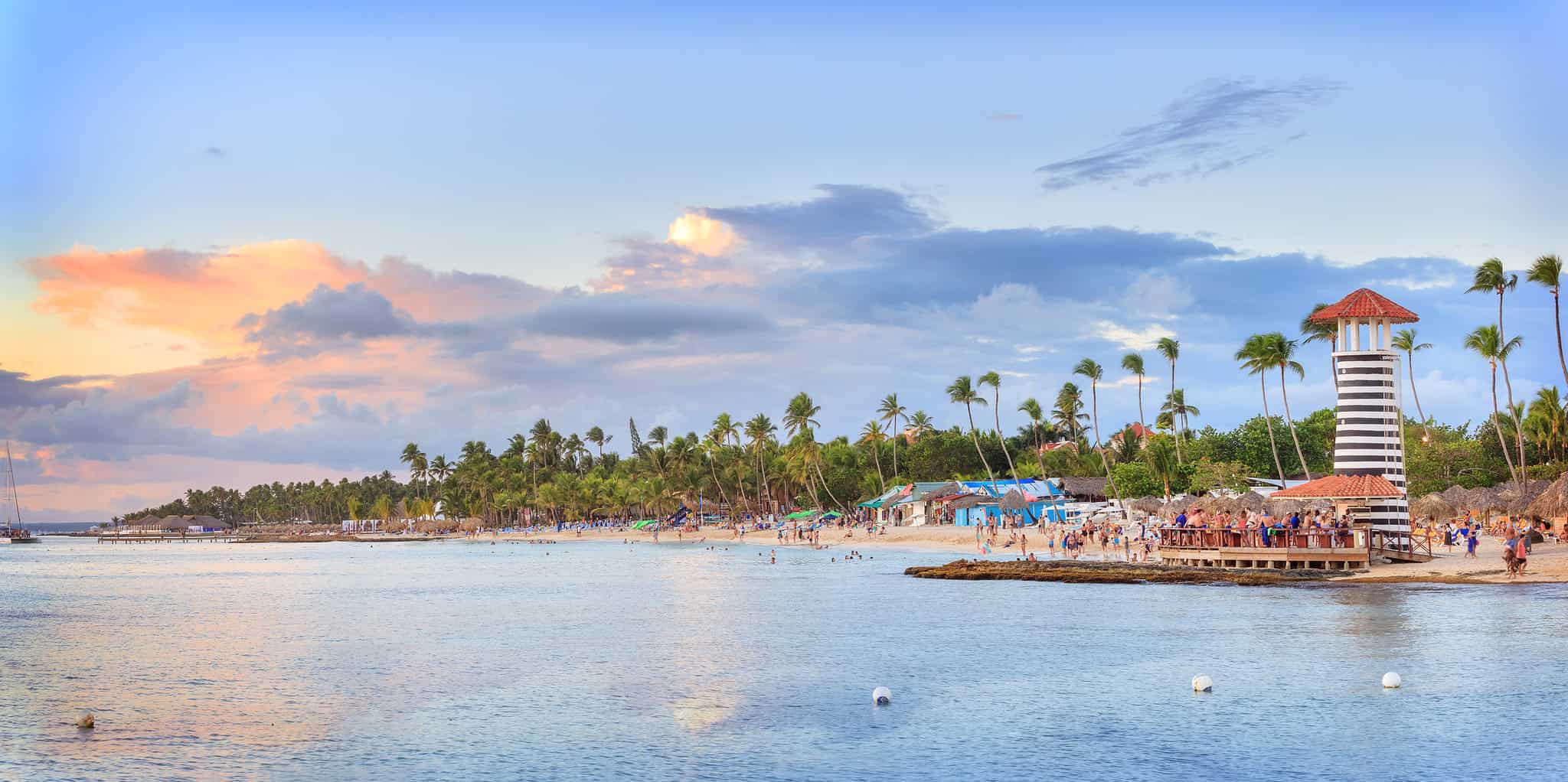 Discover the National Flower of the Dominican Republic: The Bayahibe ...