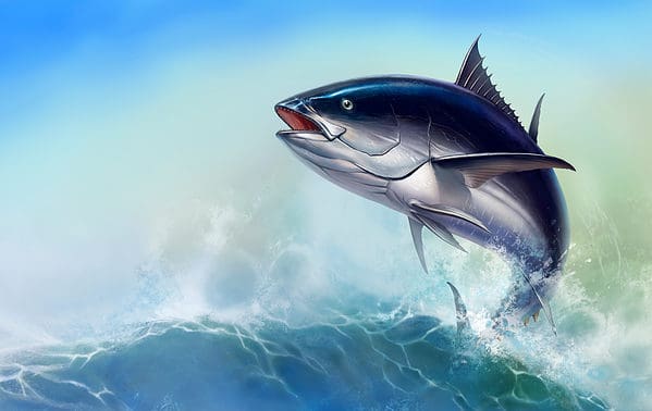 10 Essential Facts About Tuna - A-Z Animals