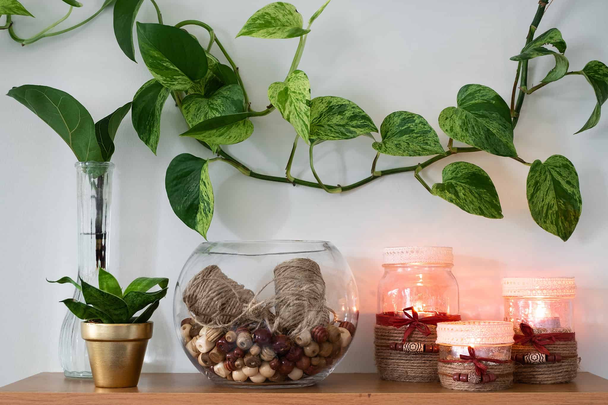 Hanging Pothos: How To Display This Unkillable Houseplant - A-Z Animals