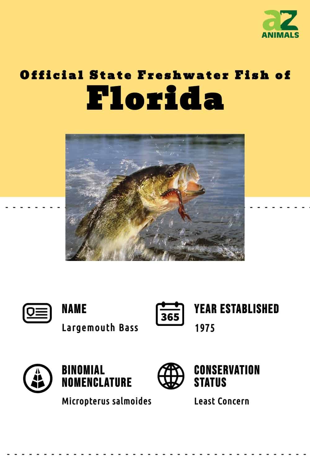 Discover the Official Florida State Freshwater Fish (And Where You Can ...