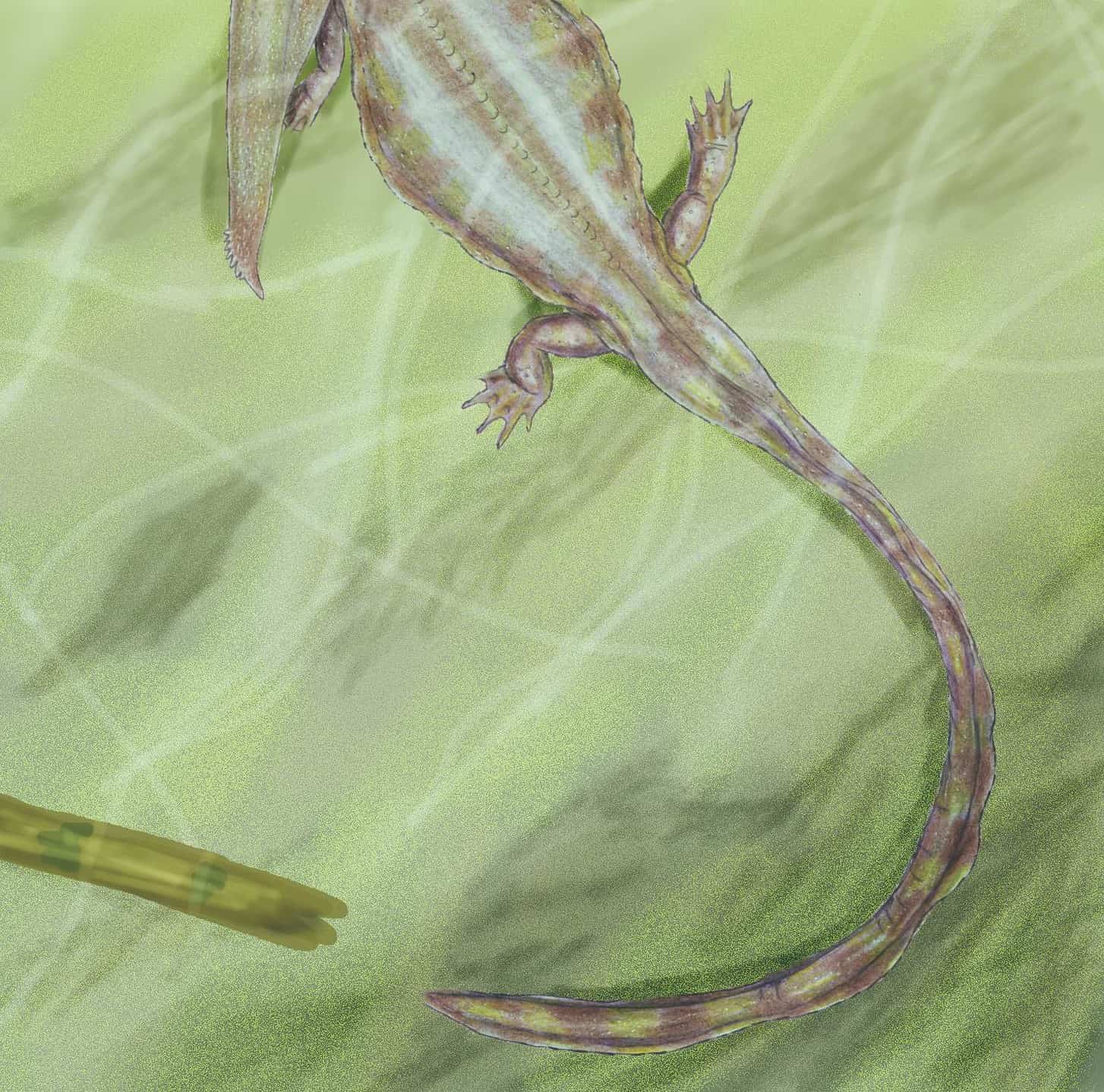 5 Pre-historic Animals That Lived In West Virginia (And Where To See ...