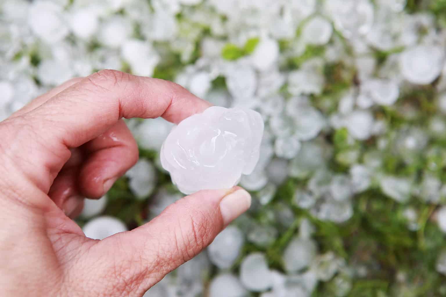 Discover the Largest Hailstone Ever (Bigger Than a Softball) - A-Z Animals