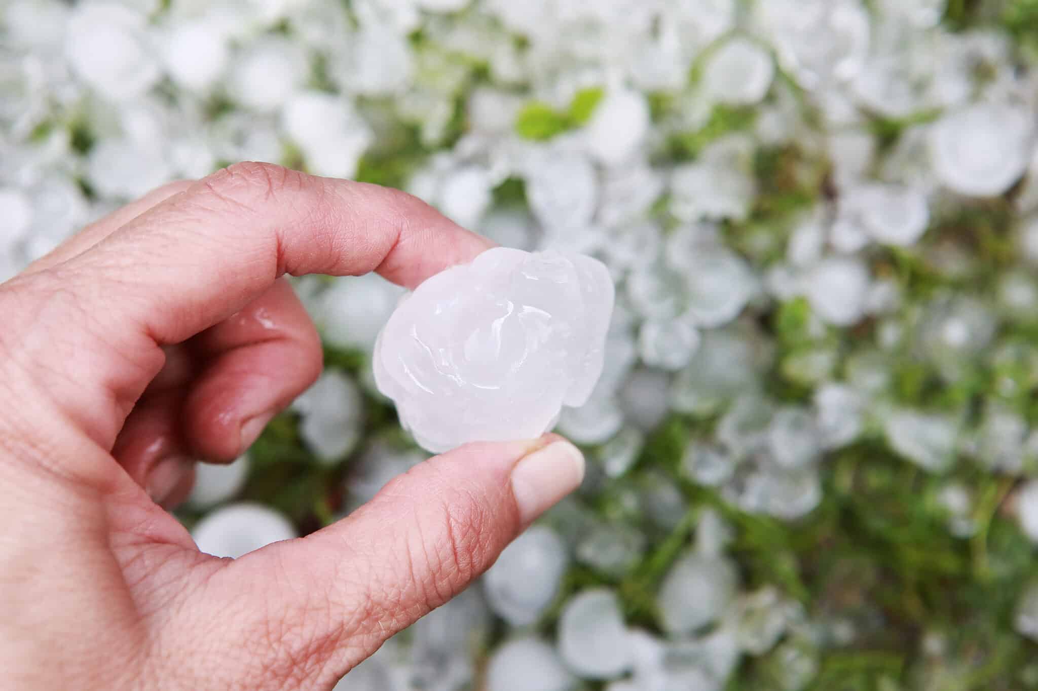 Discover the Largest Hailstone Ever (Bigger Than a Softball) - A-Z Animals