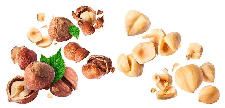 Can Dogs Eat Hazelnuts? - A-Z Animals