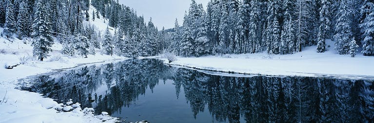 Snow in Lake Tahoe: When It Starts and When It Stops - A-Z Animals