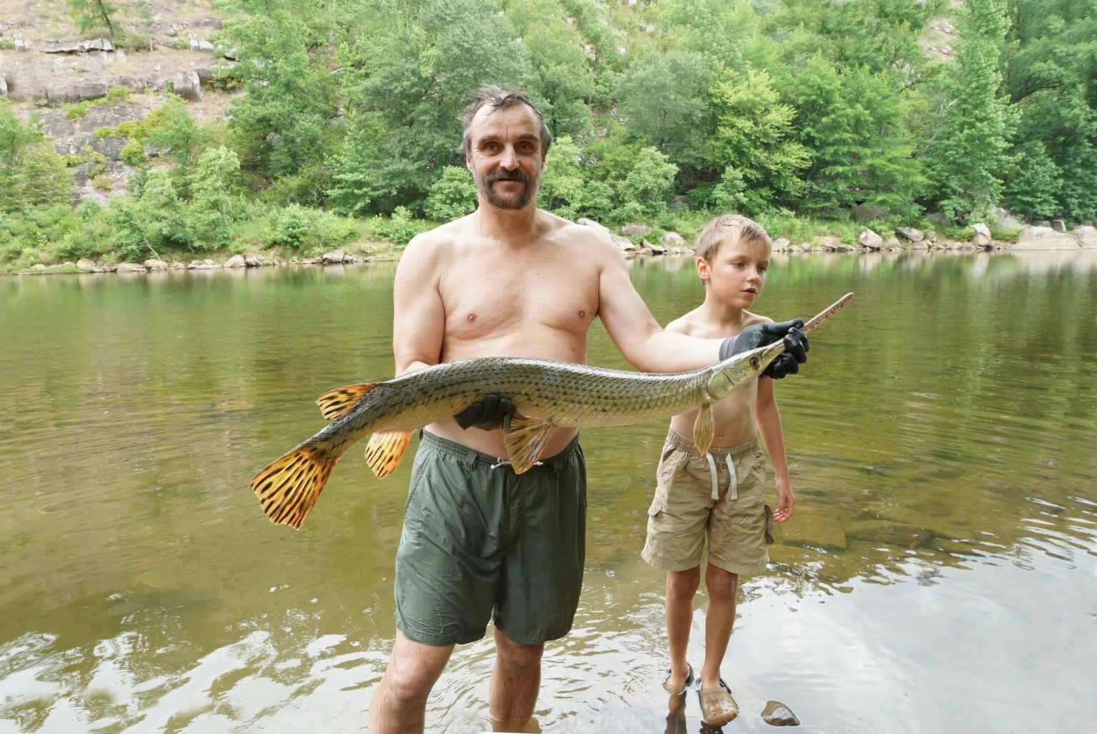 Discover The Largest Longnose Gar Ever Caught in South Carolina - A-Z ...