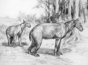 Dinosaurs That Lived in Nebraska (And Where to See Fossils Today) - A-Z ...