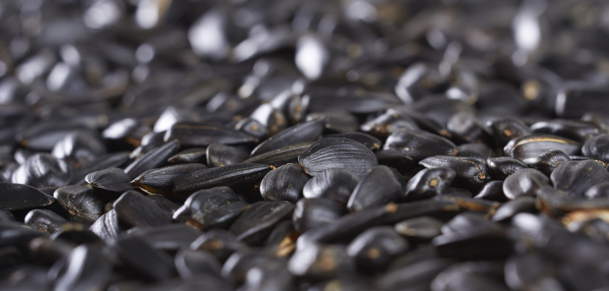 6 Best Homemade Chicken Feeds - A-Z Animals