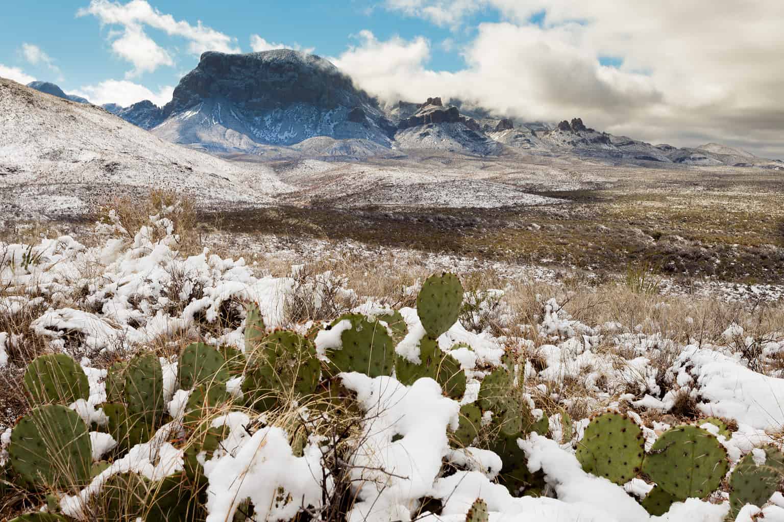 Does It Snow in Texas? - A-Z Animals
