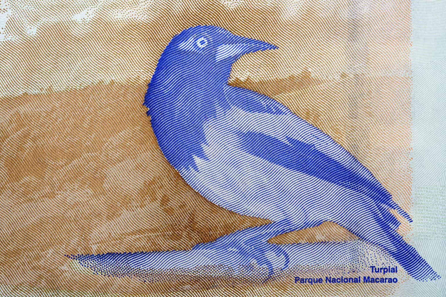 Troupials: The National Bird of Venezuela - A-Z Animals