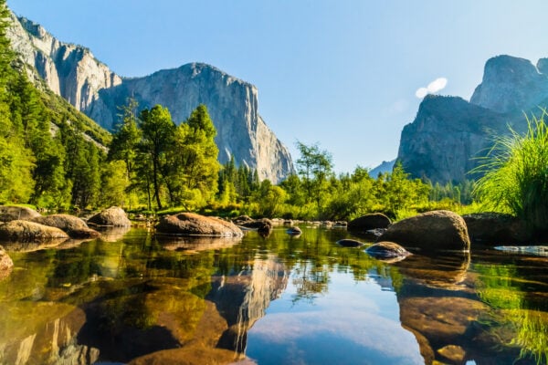 Wildlife in California - Types of Californian Animals - A-Z Animals