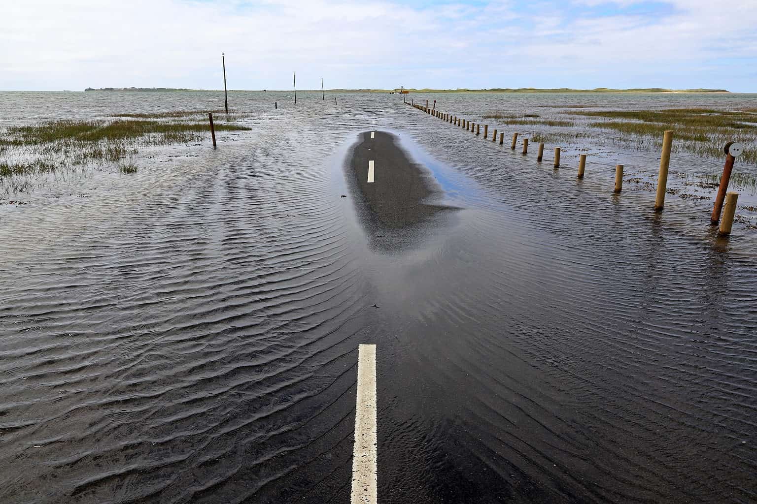 The Scariest Natural Disasters - A-Z Animals