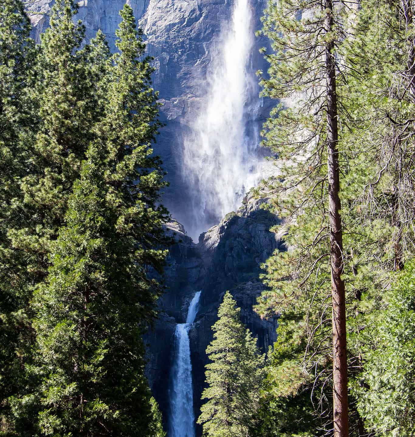 Discover The Tallest Waterfall In California - A-Z Animals
