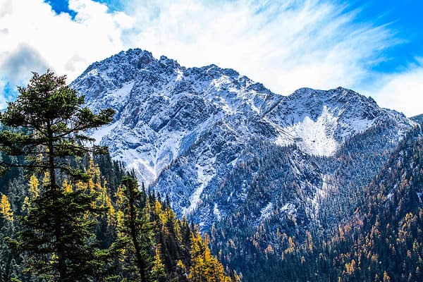 Discover the Australian Alps: Size, Location and More - A-Z Animals
