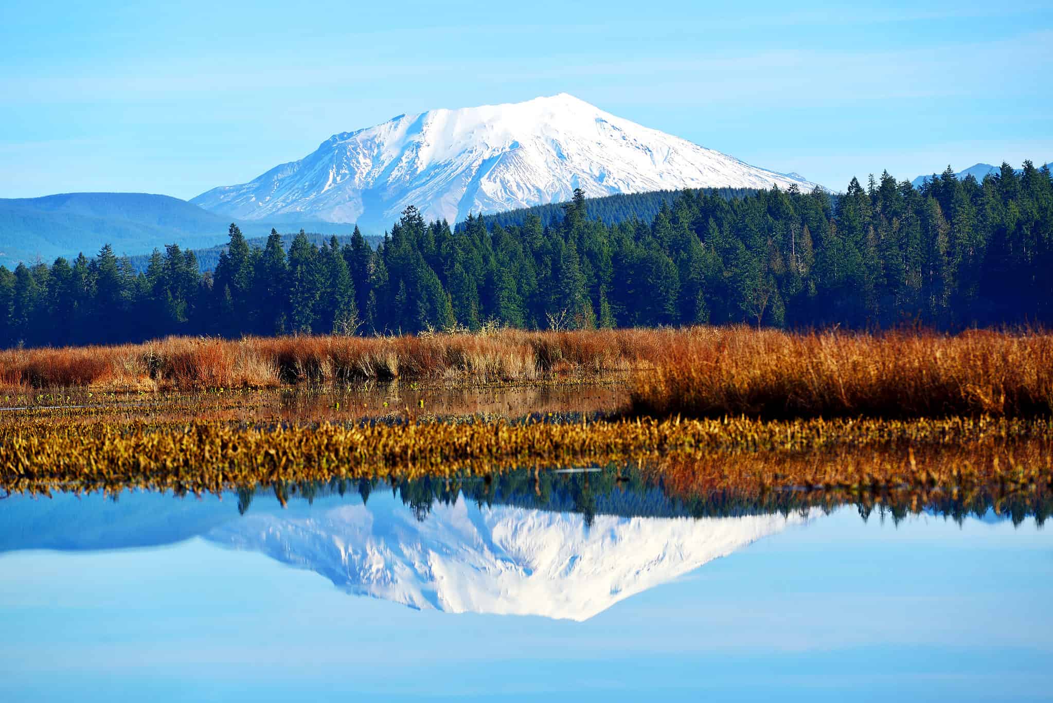 10 Mind-Blowing Facts About Mount St. Helens - A-Z Animals