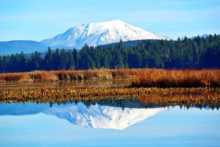 10 Mind-Blowing Facts About Mount St. Helens - A-Z Animals
