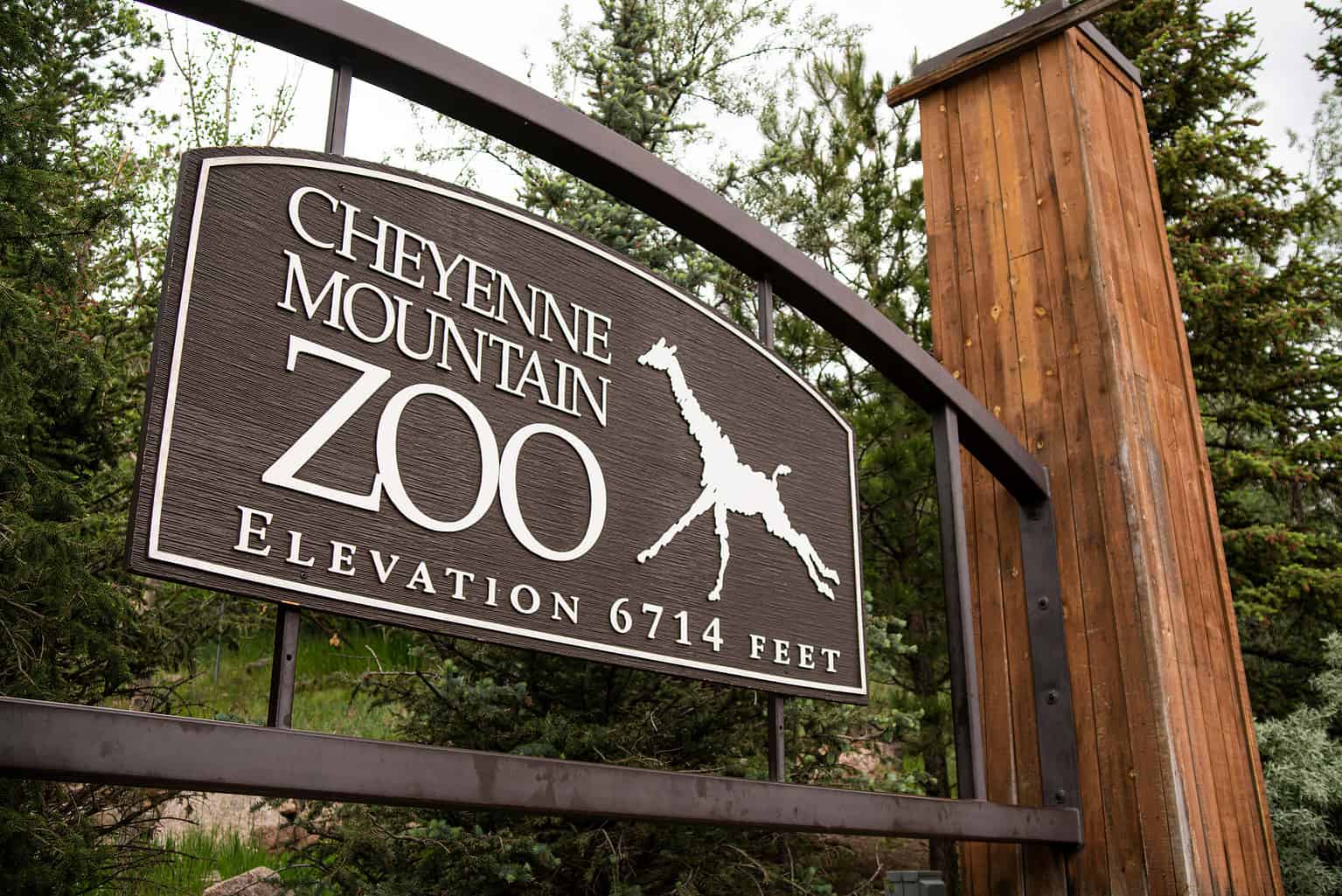 Explore These 20 Amazing Zoos with Sloths - A-Z Animals