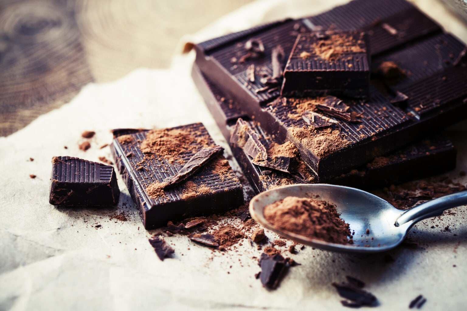 Can Cats Eat Chocolate? How Dangerous Is it? - A-Z Animals