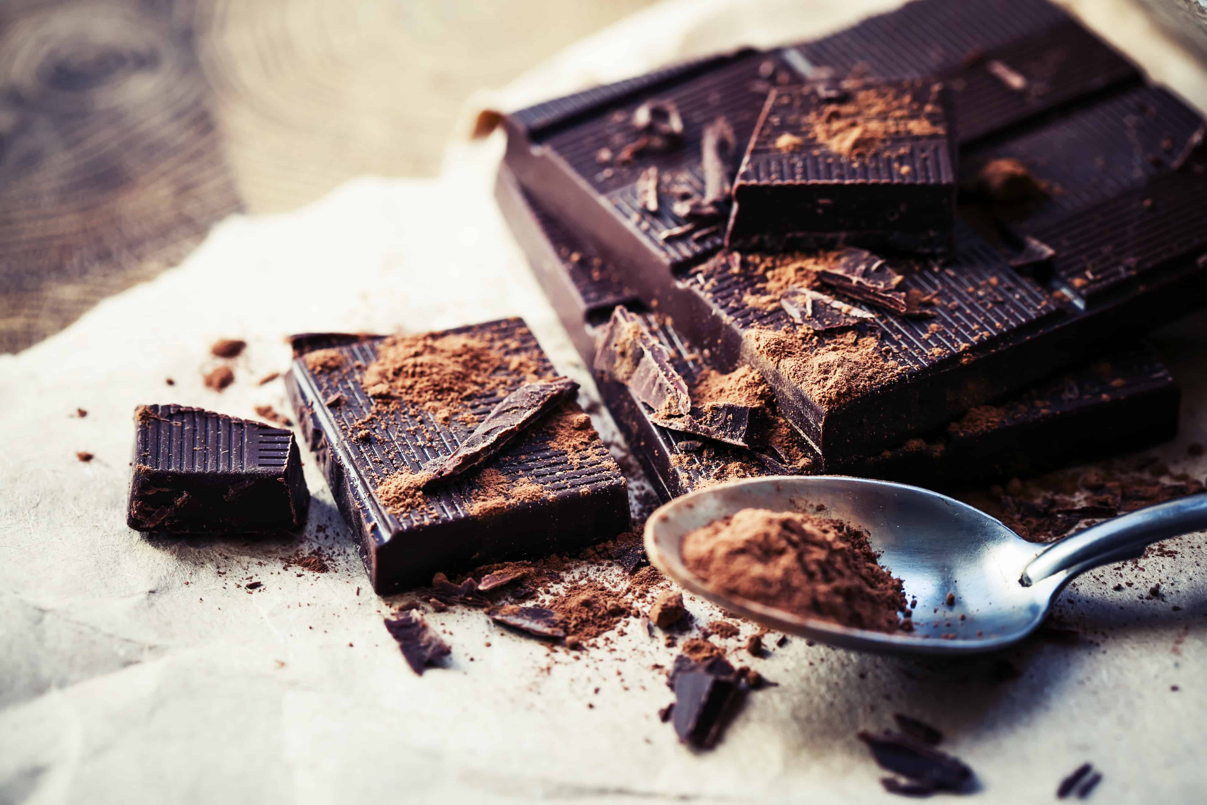 Discover Which Animals Can Eat Chocolate (And Which Ones Can't) - A-Z ...